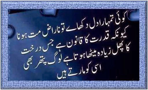 Aqwal -e- Zareen: Quotes of The Day, Achi Baat, Achi Batain, Aaj Ki ...
