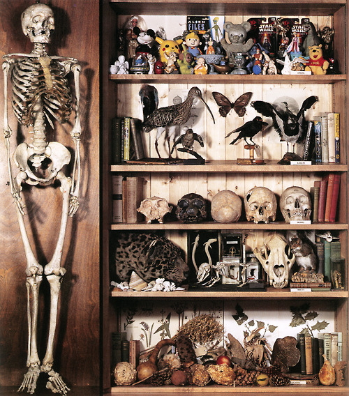 MindTheLiverpool: Mark Dion