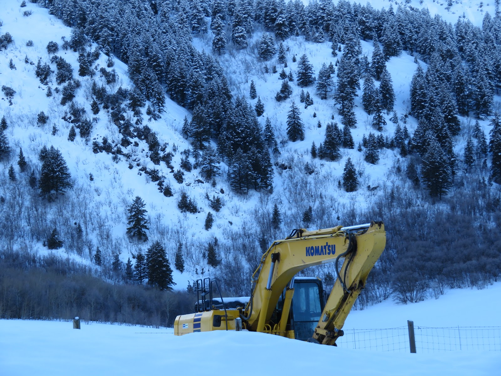 RMSO Bigfoot: Mt St Helens Bigfoot Amberish Red Eyes