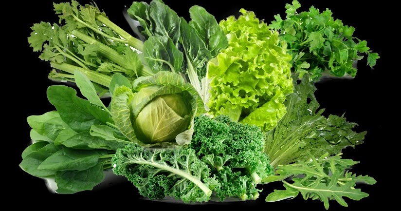 CUALES SON LOS CINCO VEGETALES MAS FACIL DE CULTIVAR EN CASA Y SUS ...