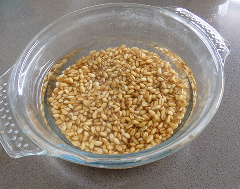 COCINANDO TRIGO ENTERO: Técnica básica de cocción