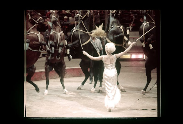 27 Color Pictures of Ringling Brothers and Barnum & Bailey Circus ...