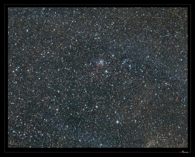 Astro Anarchy: Cygnus project, the grande finale