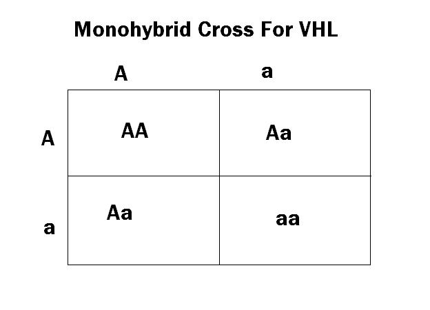 Von Hippel-Lindau Disease: About VHL