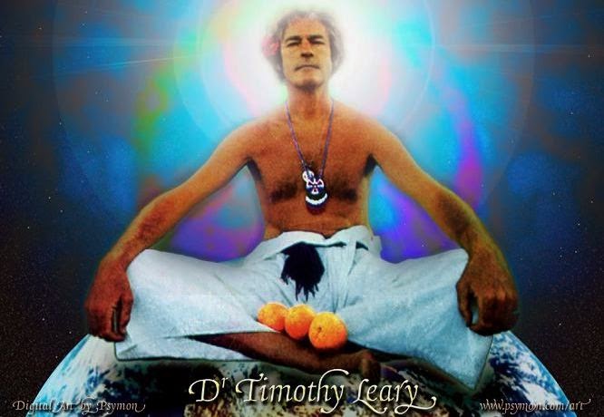 Timothy Leary : The Man Who Turned On America - Psychedelic Adventure