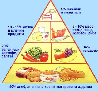 Здравословно хранене-пирамида