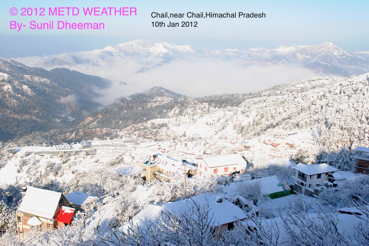 METD WEATHER: Photos of Snowfall event from Chail,Himachal Pradesh
