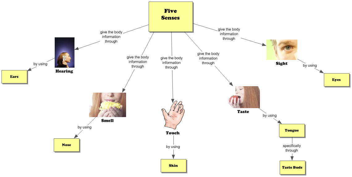 5 senses: 5 Senses Concept Map