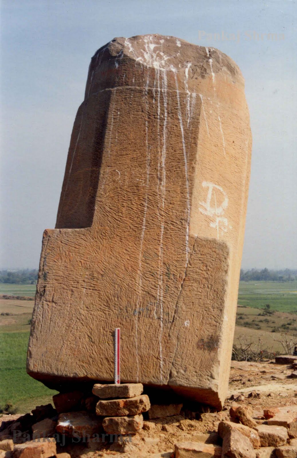 Save Ancient Indian Sites: 2. AHICHHATRA: At the Mercy of Vandalism