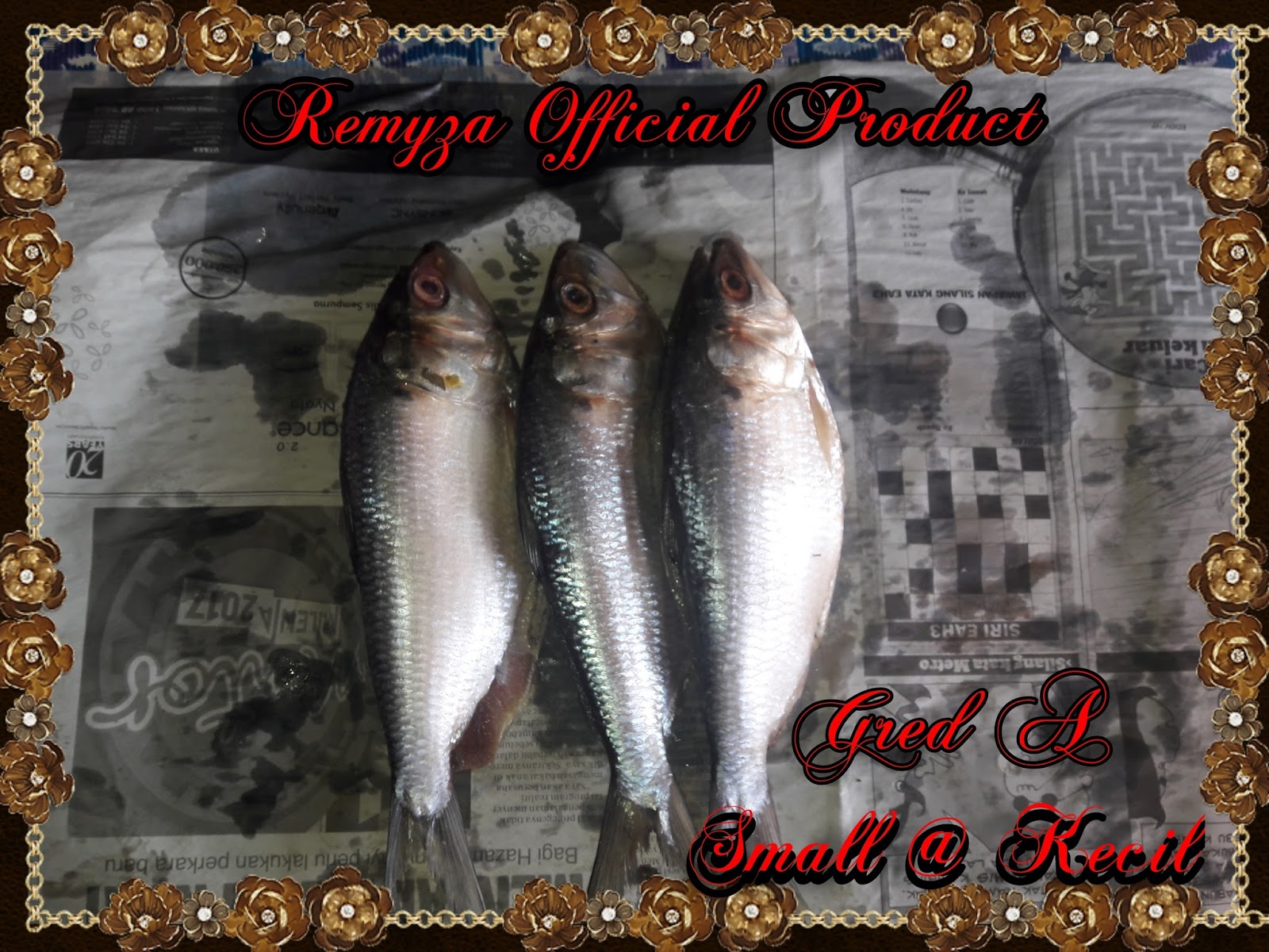 Pembekal Ikan Terubuk Masin Sarawak