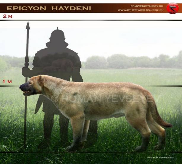 Escenarios prehistóricos: Epicyon