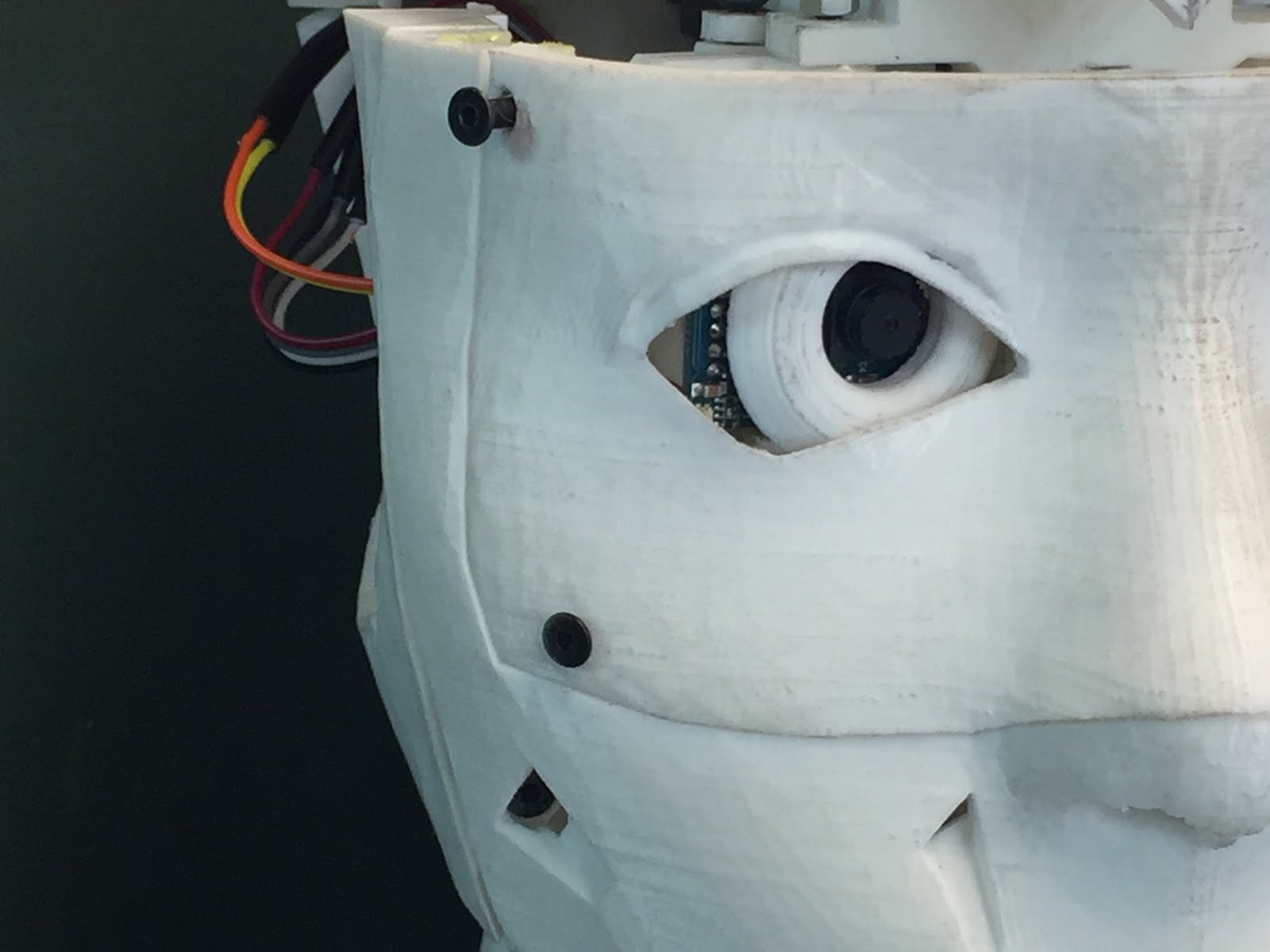 General InMoov and other build photographs