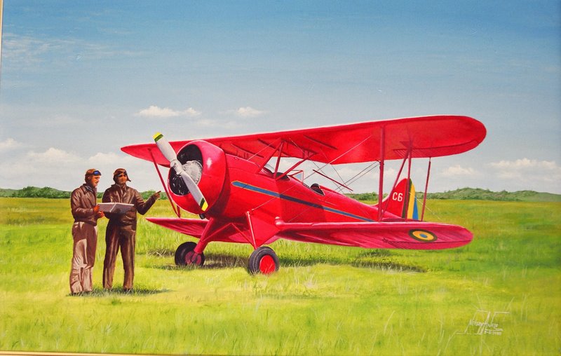 NELSON ANAYA - A ARTE AERONÁUTICA