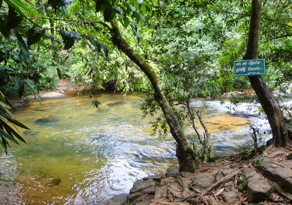 Helabima Tours and Travels: PARAVITHOTA (PAREITHOTA) SRI LANKA