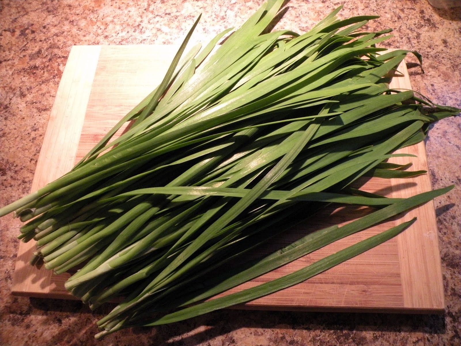 Eat More Veggies: A Biodiversity of Food: Allium tuberosum (Jiu cai or ...