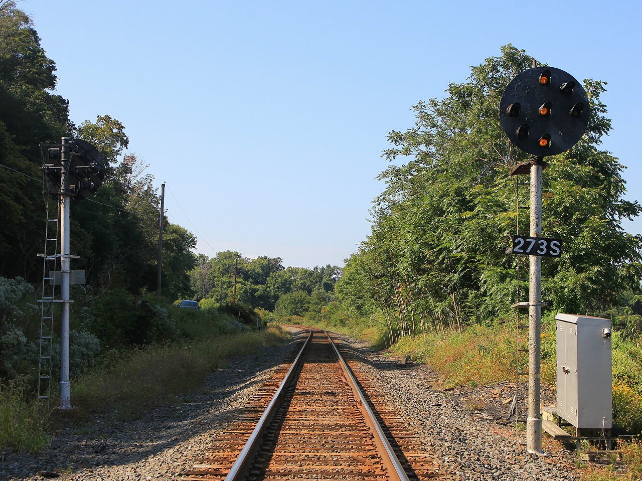 PHOTOS: BUFFALO LINE