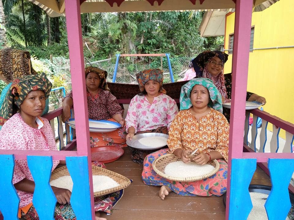 SK BUKIT TAMPOI (ASLI): PELAJAR KEDAP MENAMPI BERAS