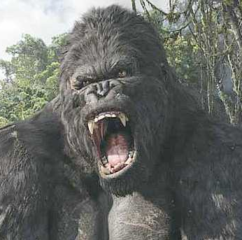 The Lexicon of Cultural Folly: Obstreperous