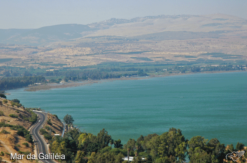 LUGARES BÍBLICO: GALILEIA ~ Livro: Uma Síntese a Filosofia Medieval