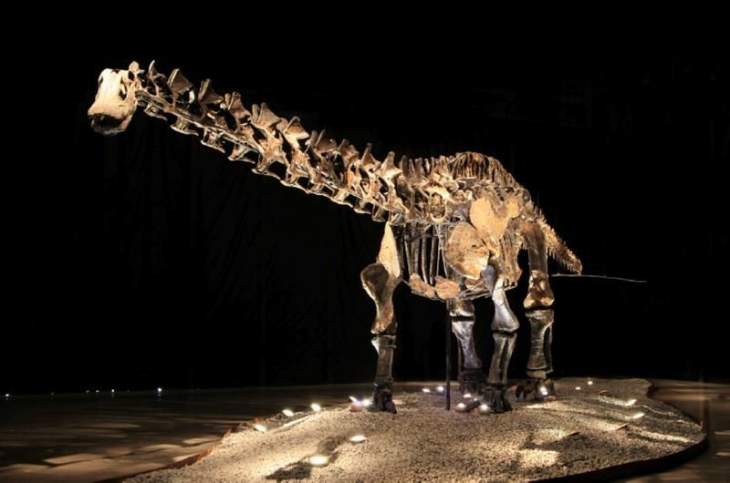 Coins and Scrolls: OSR: Fossil Dinosaurs