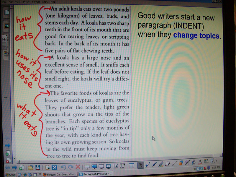 Life in 4B...: Loaded with Literacy!