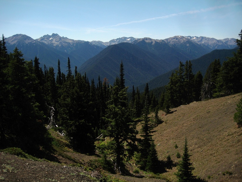 The Road Less Traveled: Sequim, WA