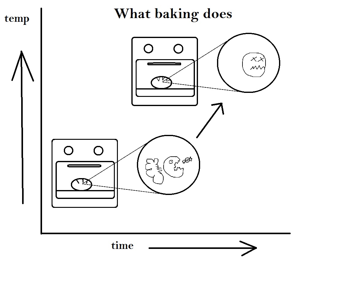 The Bread Maiden: The Science Behind... the baking process, one ...