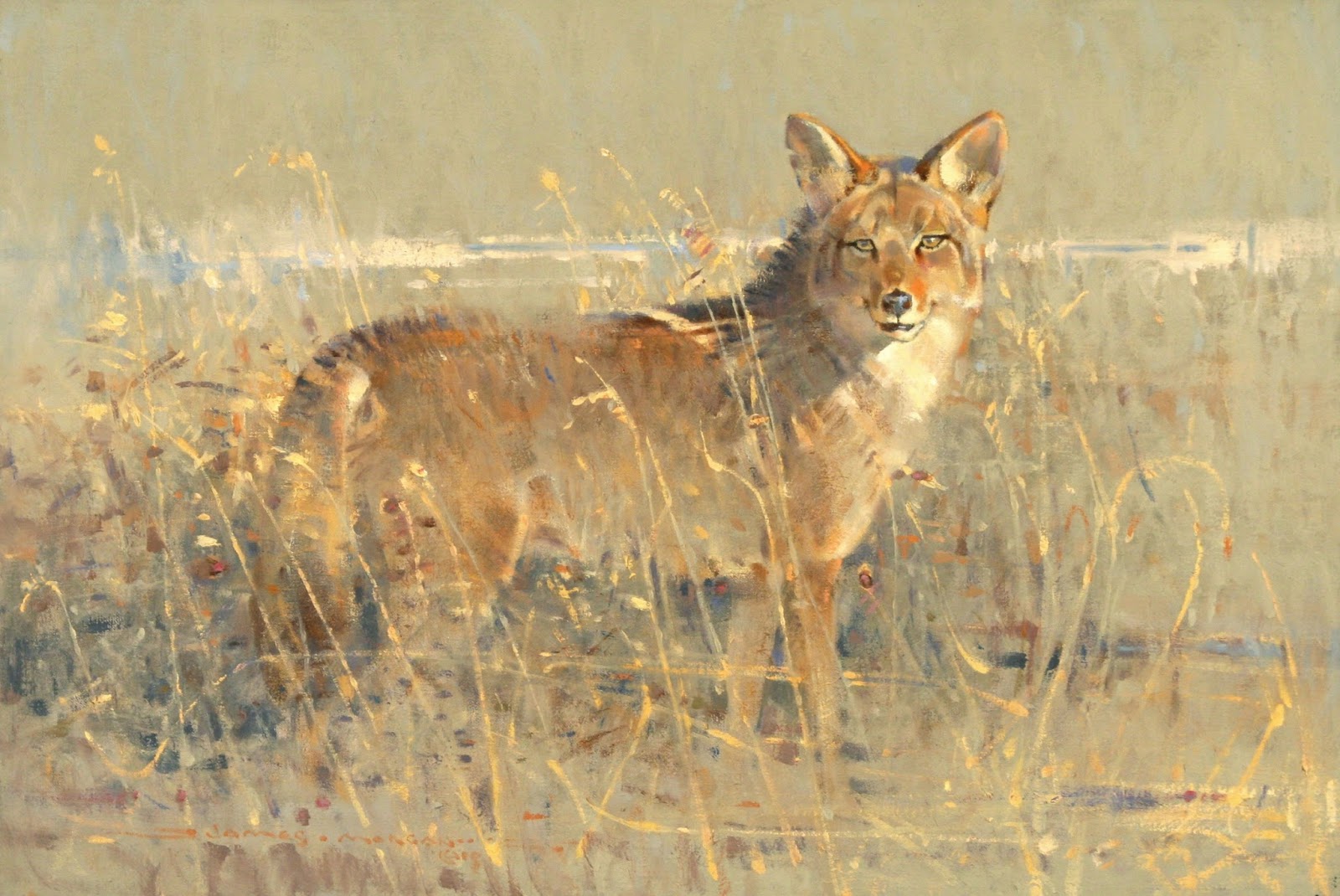 Jim Morgan Art: Current Works