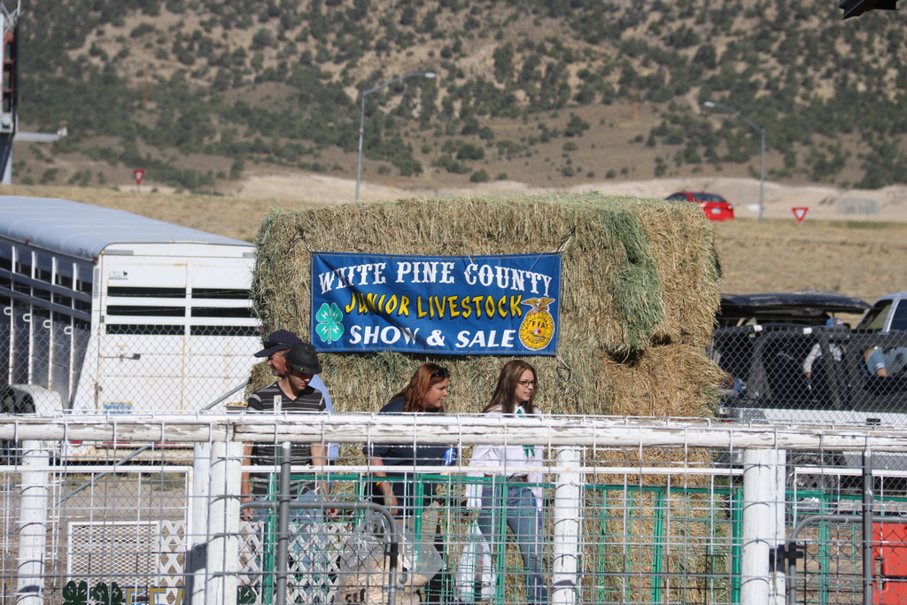 Desert Survivor: 2017 White Pine County Fair - Part 1: Livestock