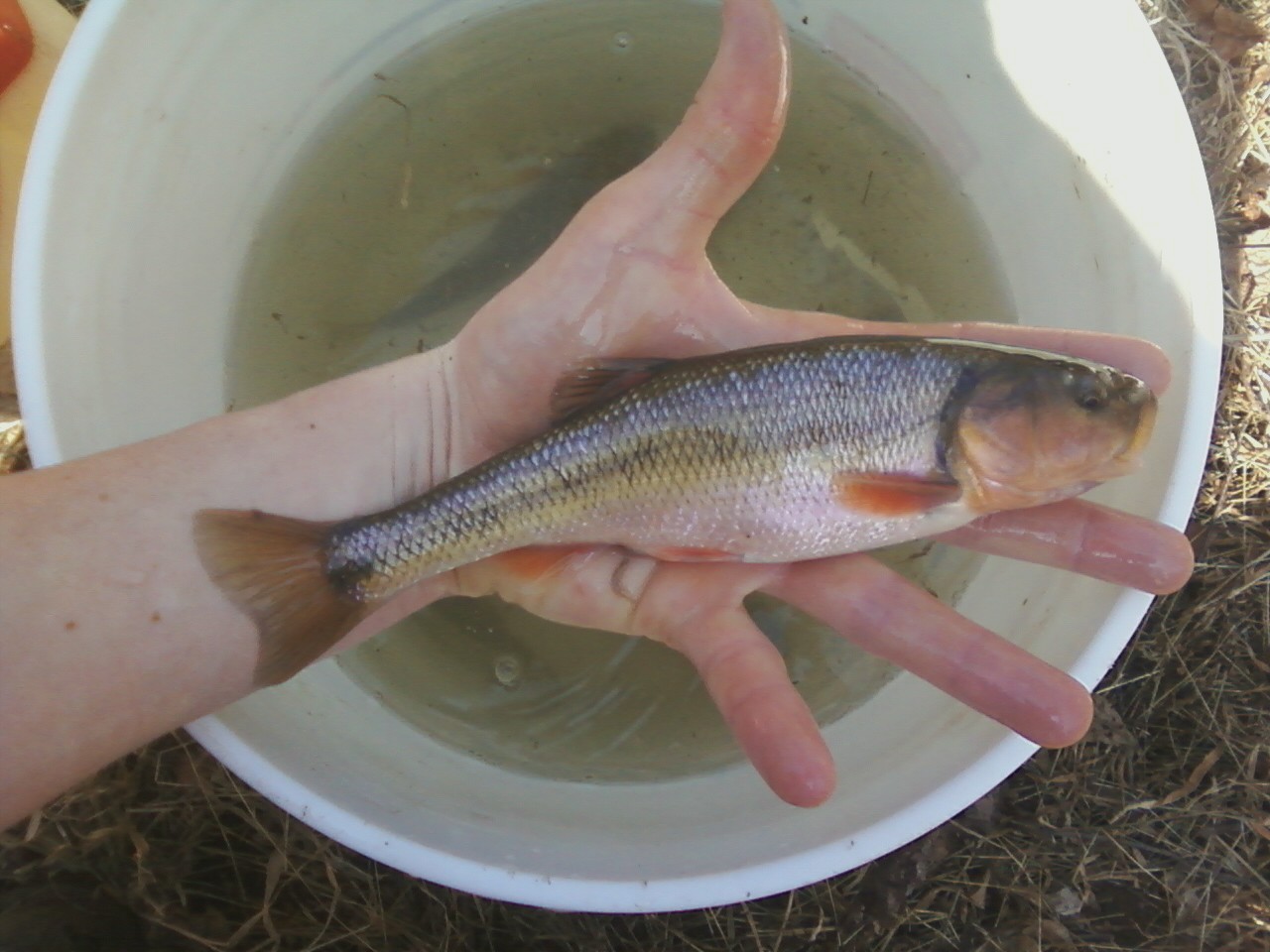 PA Fishing and Hunting