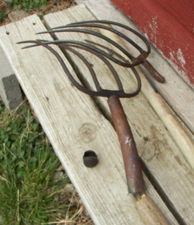 The Small Hold - Will Not Go Down Without a Fight: Repairing a Pitch ...