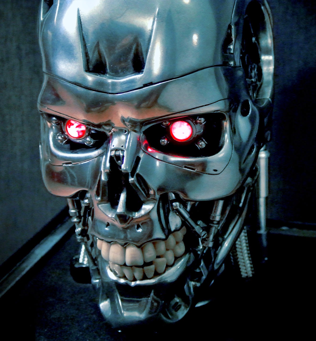 Original Terminator Head