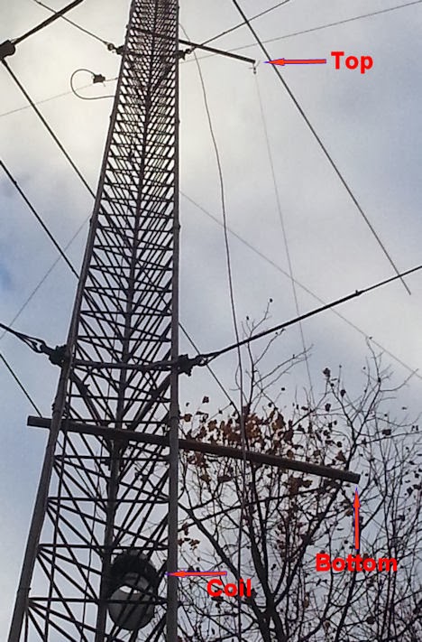 W8TN's Ramblings: New 40-M Wire Vertical Installed
