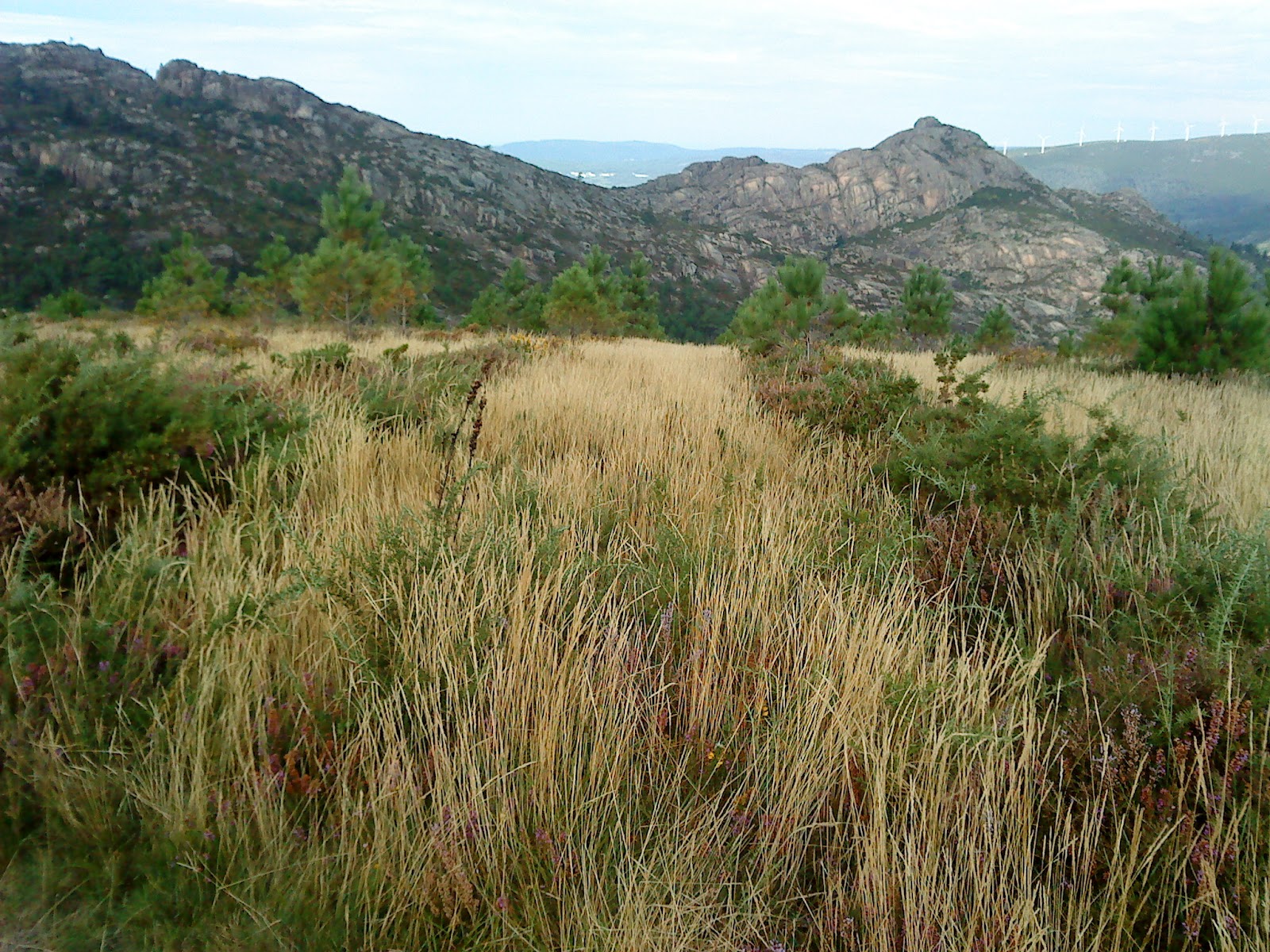 Trekking trail at Mount Pindo (Galicia, Spain) / Roteiro de A Moa ...