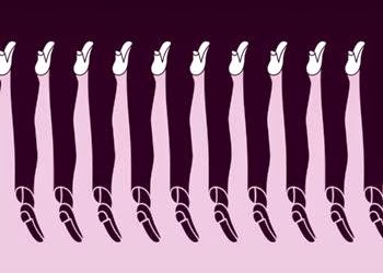 Ambiguous Optical Illusions | Genius Puzzles