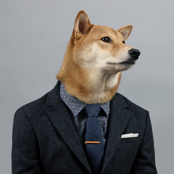 Menswear Dog: el perro más elegante del mundo