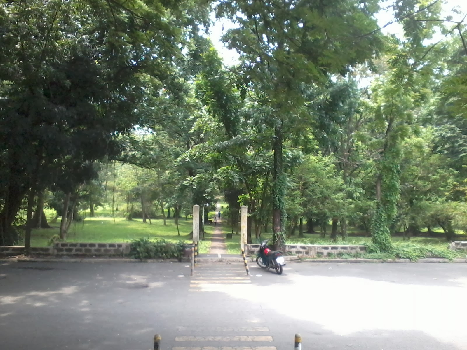 Travel and Tourism: UP Diliman's Trees, Sunken Garden