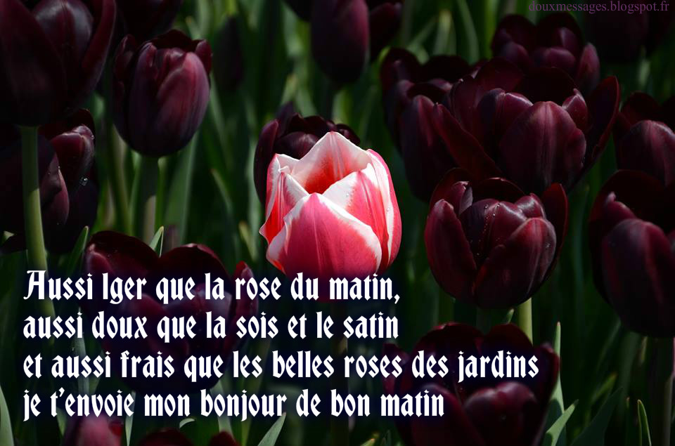 LES MESSAGES DU MATIN - MESSAGES DOUX