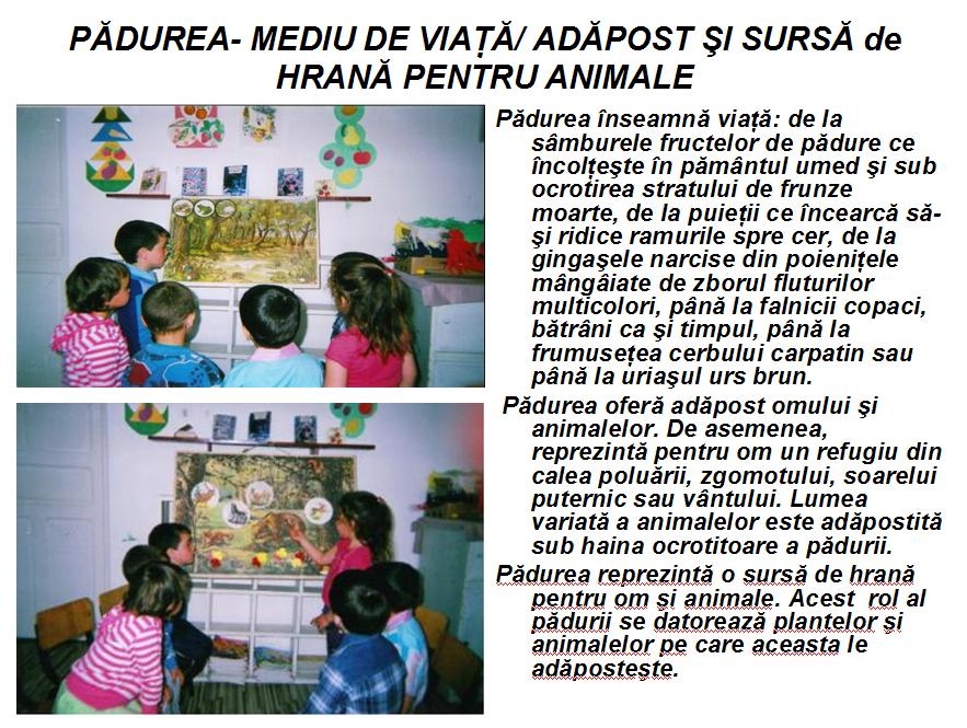 Blog educational: ,,UN MEDIU CURAT PENTRU O VIAŢĂ SĂNĂTOASĂ” PROIECT ...