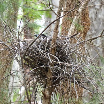 The Coal Point Chronicle: November 2014