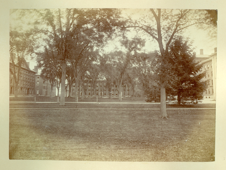 Historical Photos Show Harvard University in the Second Half of 19th ...