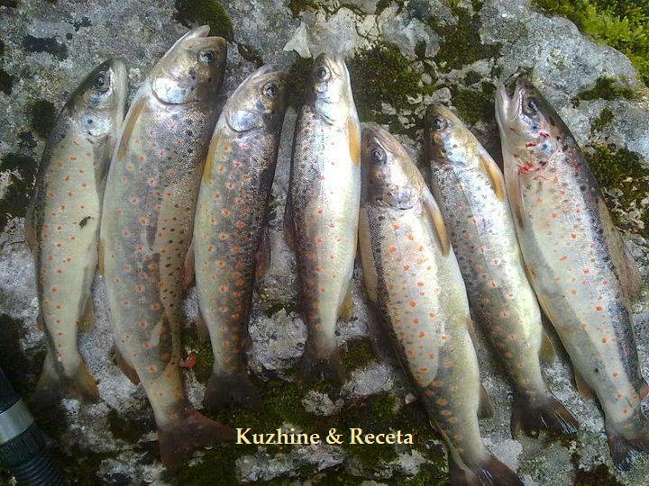 Kuzhine - Receta: Fileta troftash te egra me pana ne tave dheu