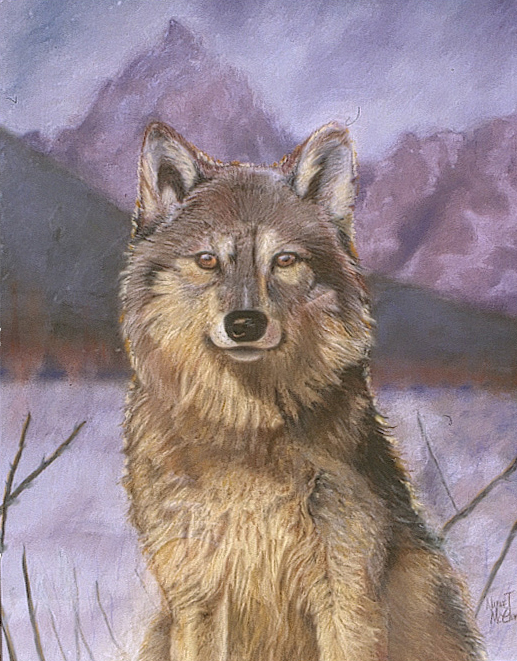 Contemporary Artists of Colorado: Original Wildlife, Wolf Painting ...