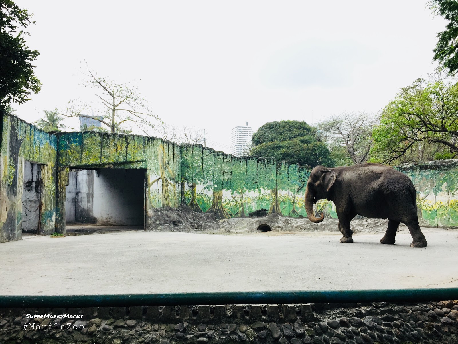 SuperMarkyMacky: Manila Zoo: Uncage The Beasts