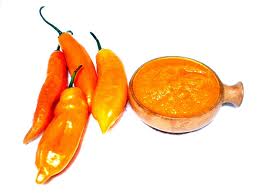 AJI (Capsicum annuun)