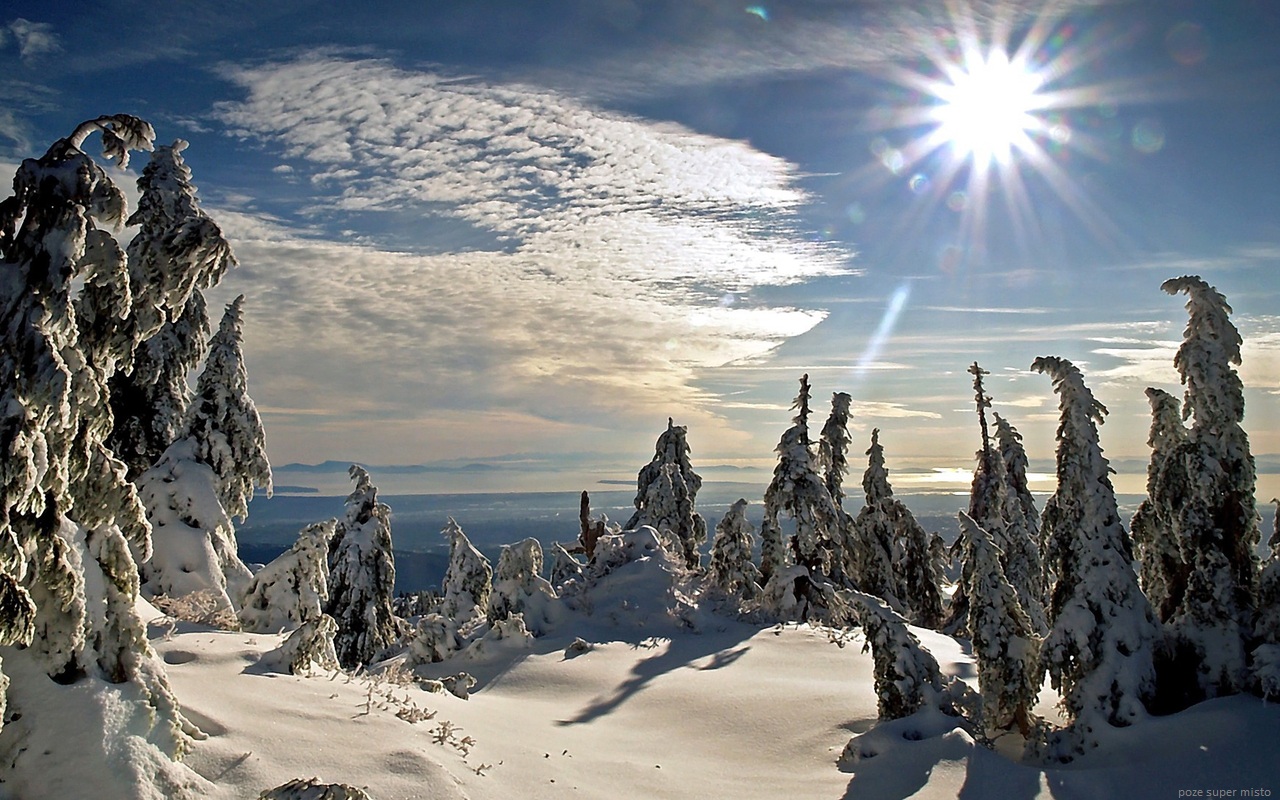 Imagini de Iarna - Soare de Iarna | Poze Super Misto