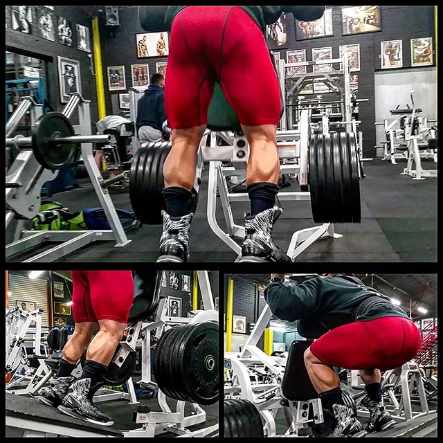 Worldwide Bodybuilders: Stallion boy from New Zealand Nathan Roe