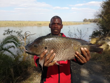 Namibia Sport Fishing : August 2013