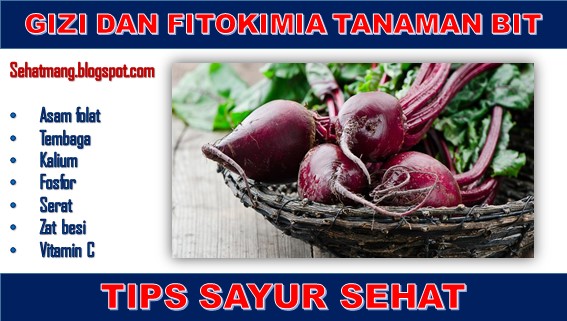 Manfaat Tanaman Bit Bagi Tubuh Manusia | Podcast-Indonesia