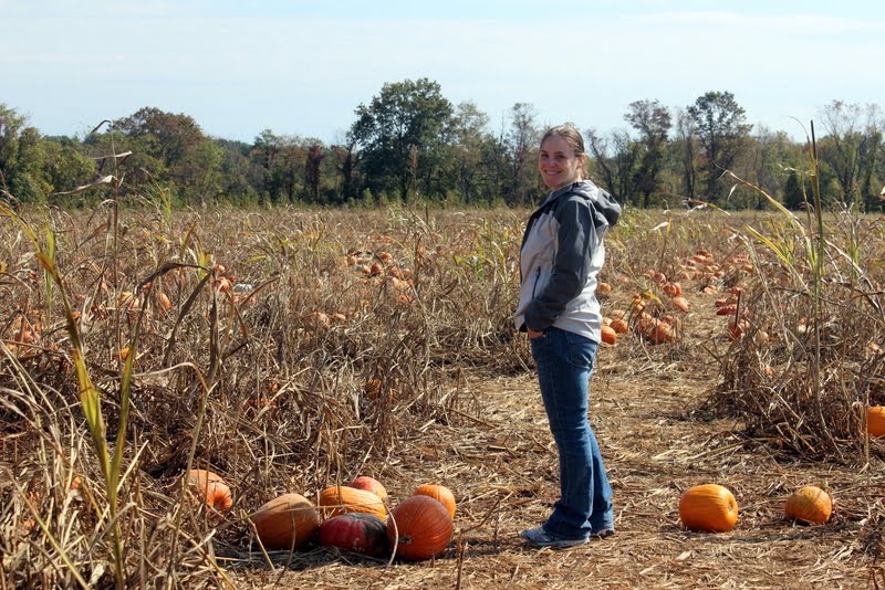 Ben's Journal: Great Country Farms - Fantastic Fun on the Farm